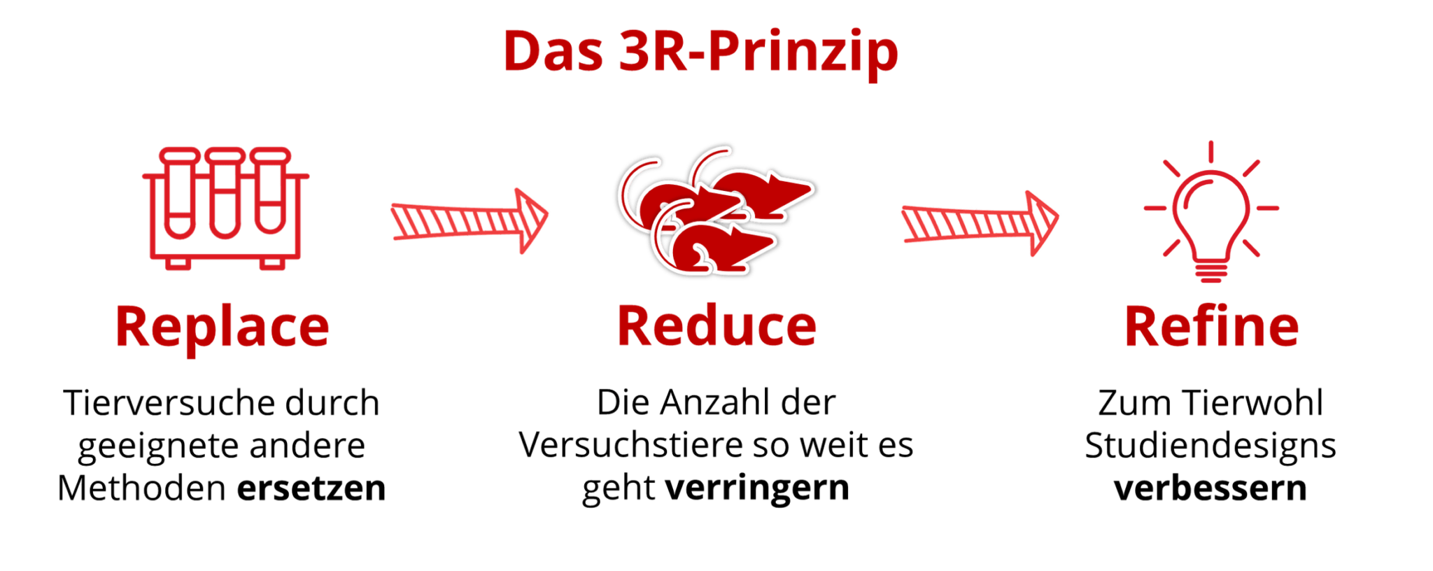 Verzicht auf Tierversuche zum Nachweis der Biokompatibilität